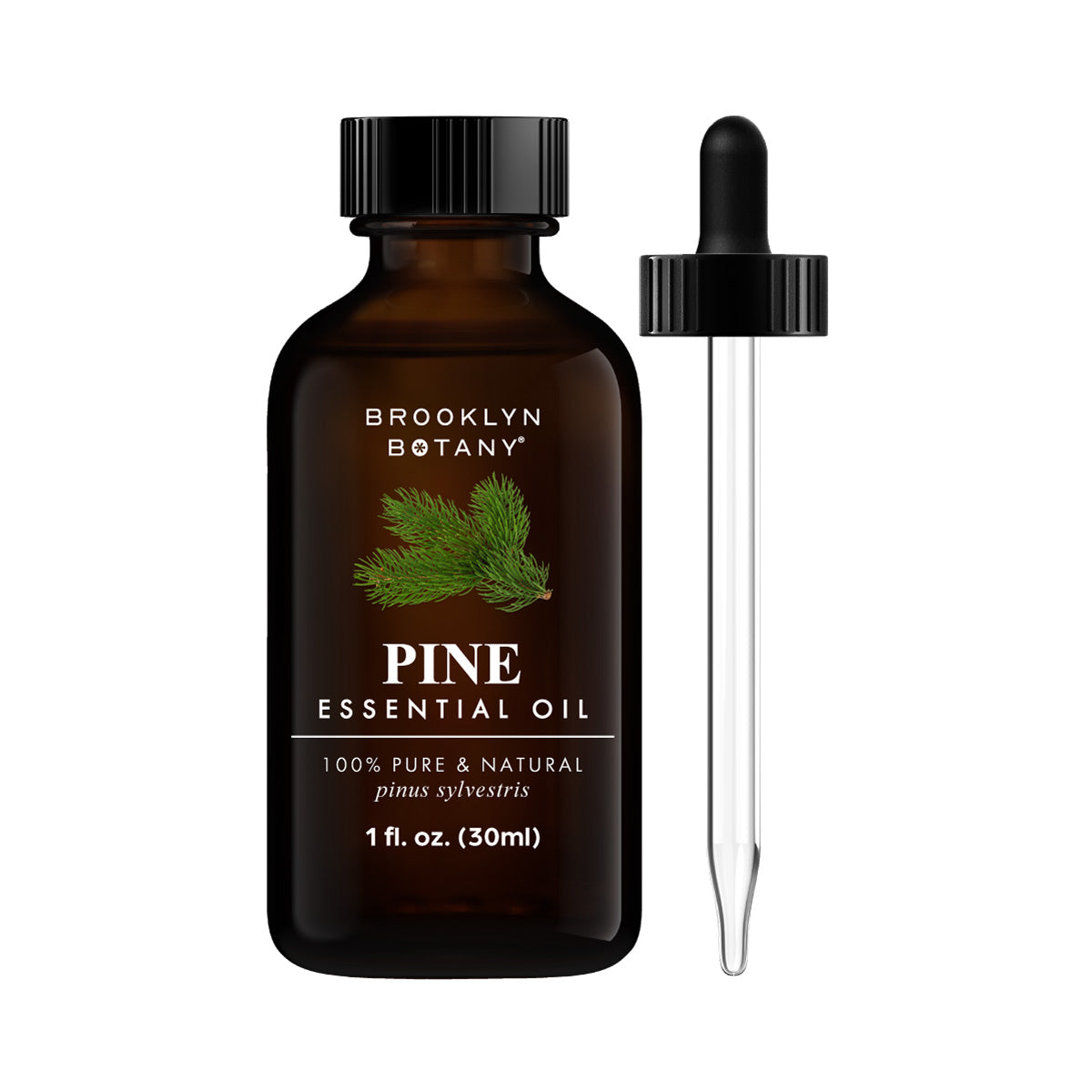 Pine Essential Oil 1 oz – BrooklynBotany.com