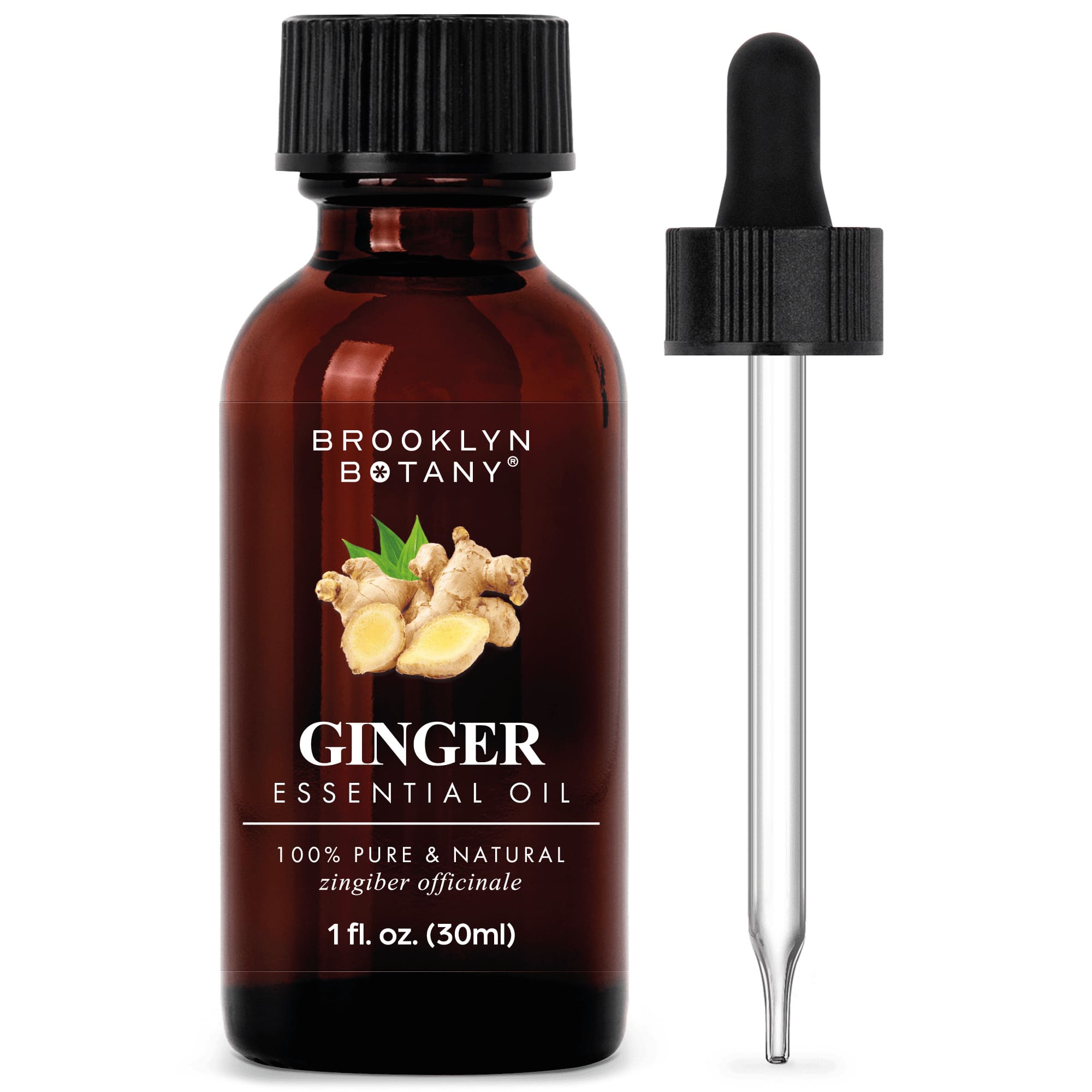 Ginger Essential Oil for Diffuser & Aromatherapy – BrooklynBotany.com